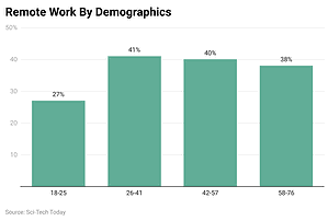 Work From Home Statistics By Demographics And Facts (2025)