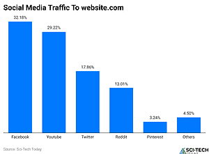 Website Statistics By Revenue, Demographics and Facts (2025)