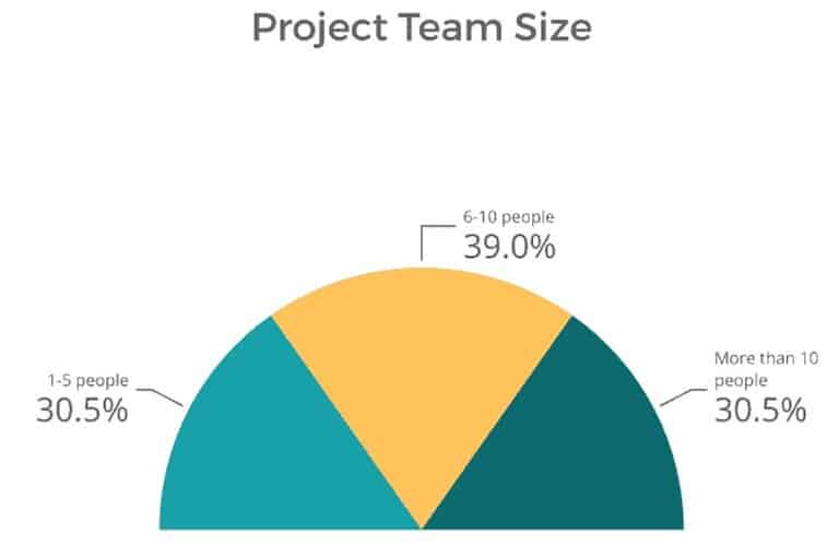 Project Management Statistics By Demographics And Facts (2025)