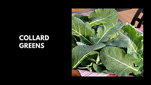 Vegetables Nutrition Facts, Calories and Health Benefits