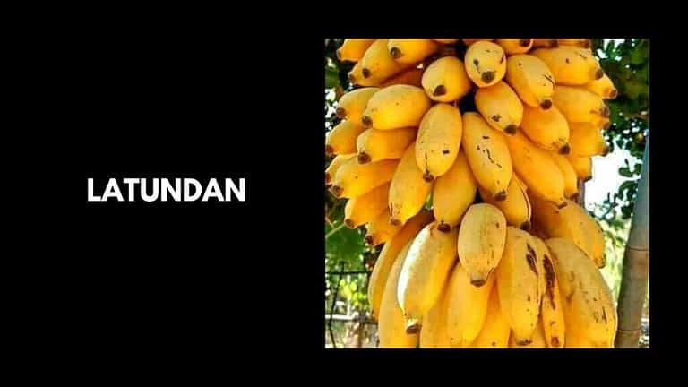 Banana Nutrition Facts, Calories and Health Benefits