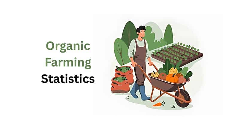 Organic Farming Statistics By Country And Facts (2025)