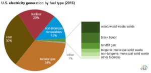 Bioenergy and Biomass Statistics By Facts And Trends (2026)