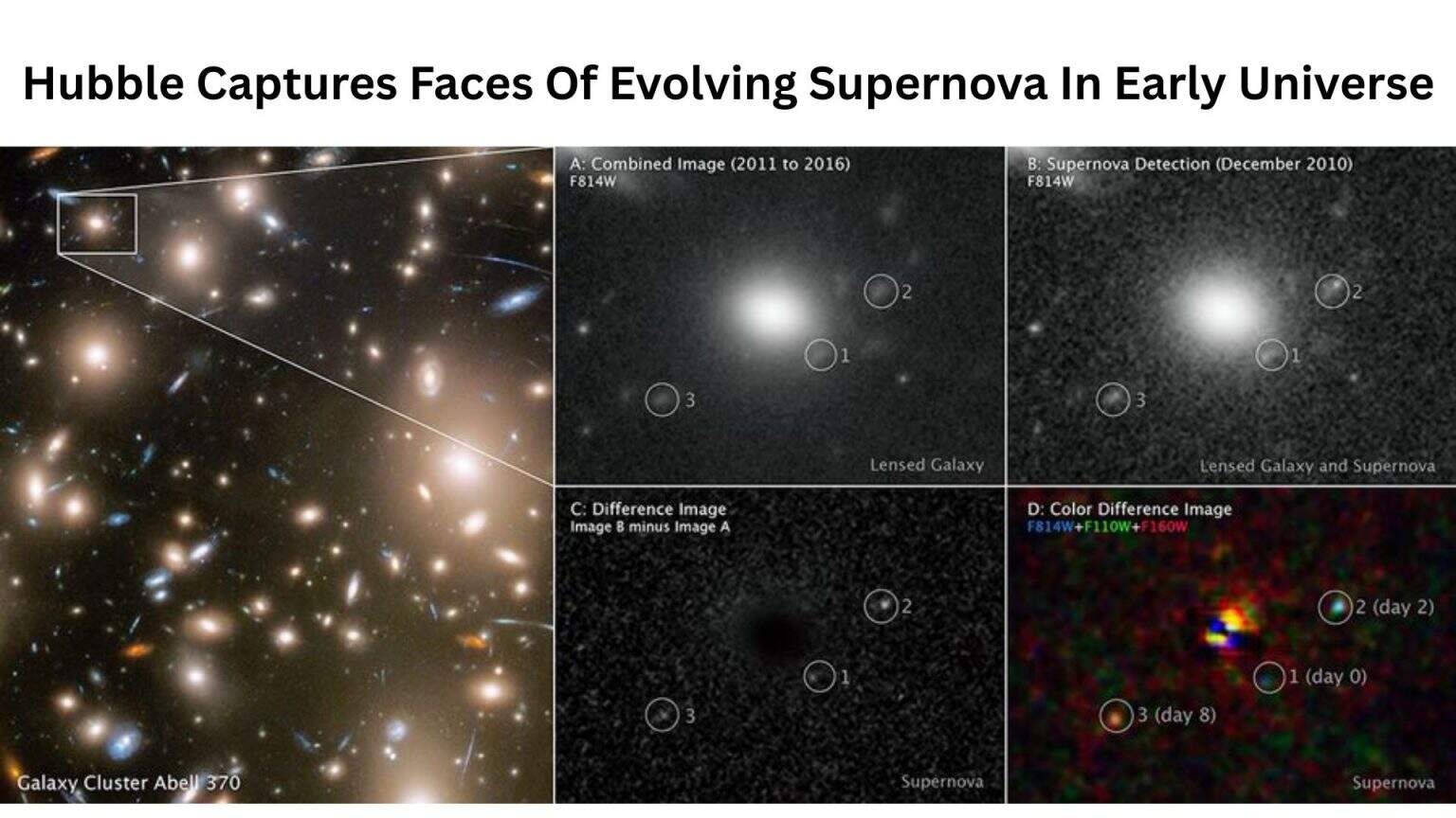 Supernova Explosion Statistics Everyone Should Know (2025)