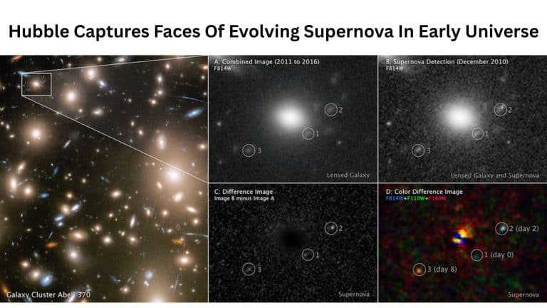 Supernova Explosion Statistics Everyone Should Know (2025)