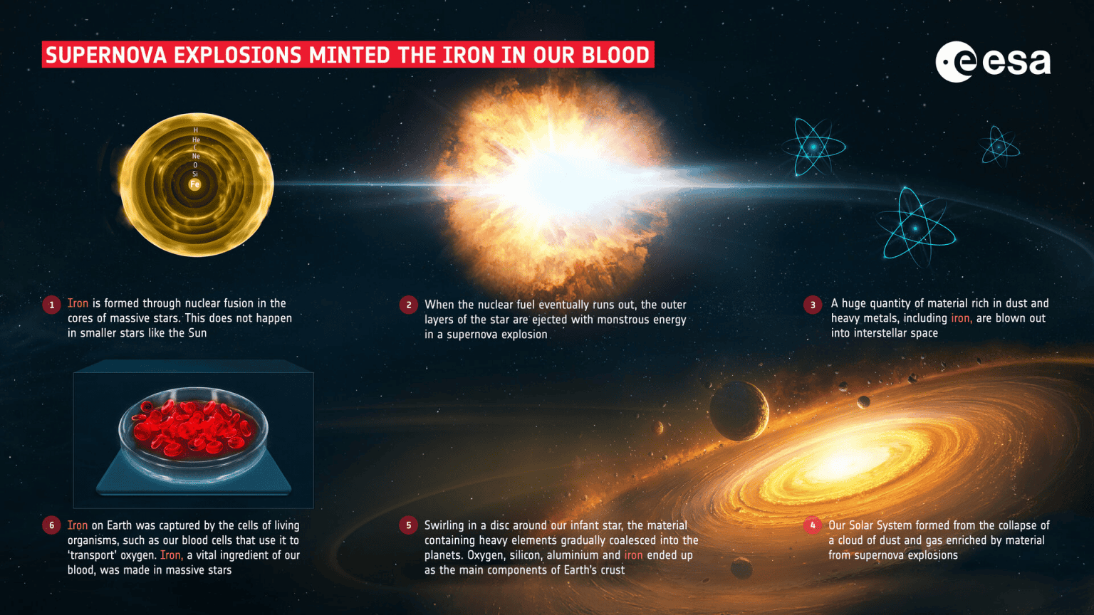 Supernova Explosion Statistics Everyone Should Know (2025)