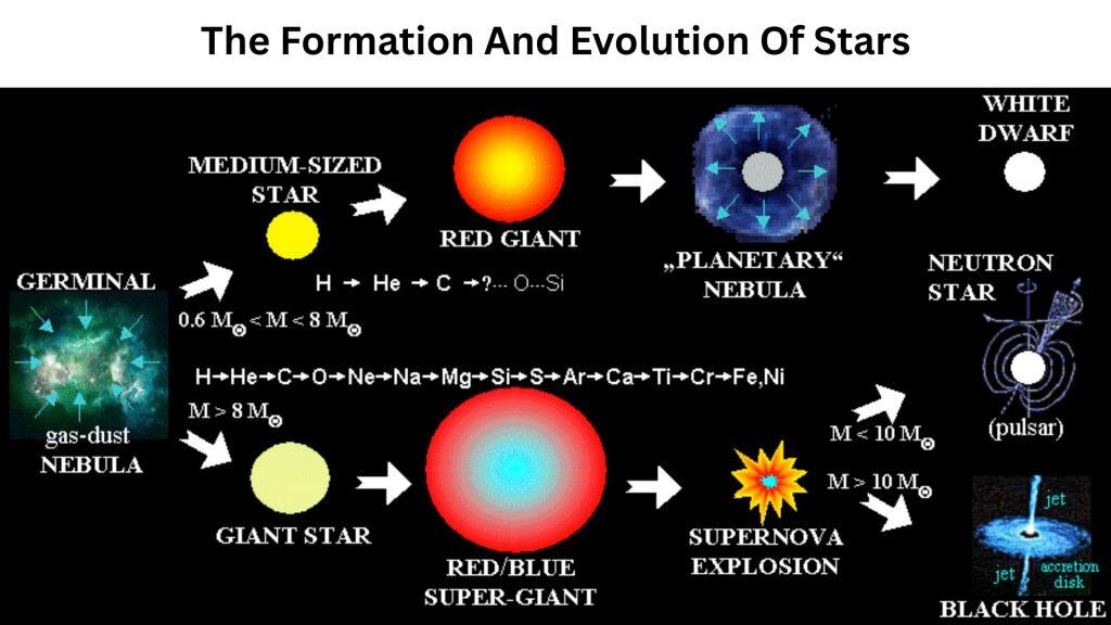 Supernova Explosion Statistics Everyone Should Know (2025)